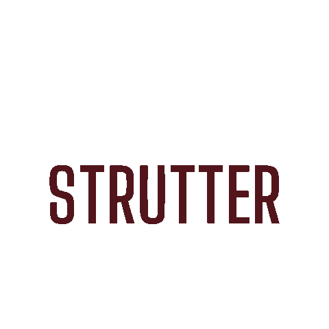 Texas State Strutters GIFs on GIPHY - Be Animated