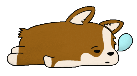 Sleeping Dog Gif