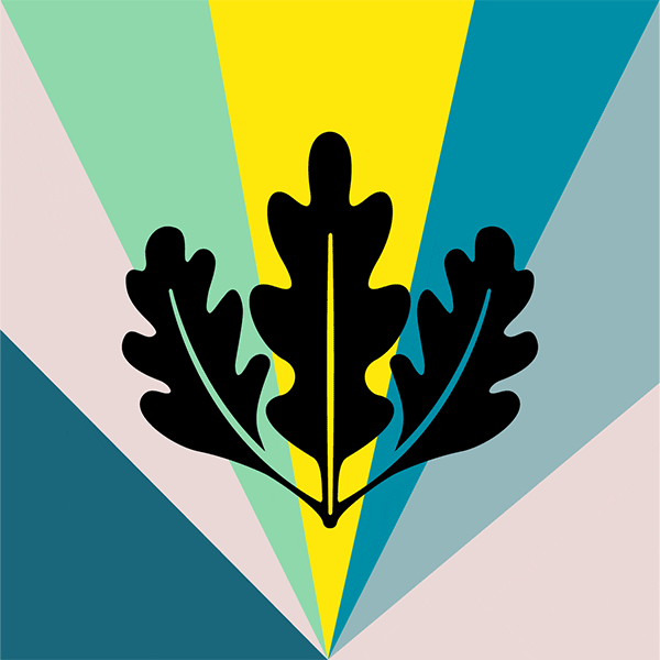 Oak Leaves GIFs - Get the best GIF on GIPHY