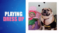 Best-dressed GIFs - Get the best GIF on GIPHY
