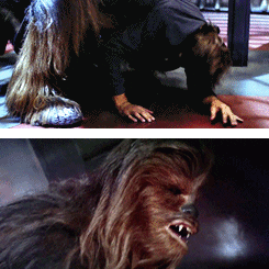Chewbacca Birthday GIFs - Find & Share on GIPHY