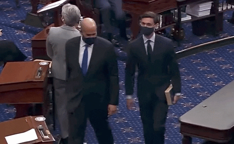 Georgia Senate Runoffs GIFs on GIPHY - Be Animated