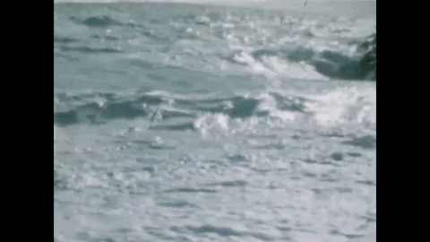 Animated Beach Waves