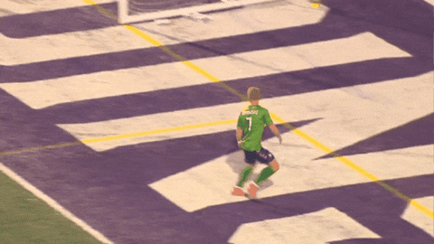 Greenville Triumph SC GIFs on GIPHY - Be Animated