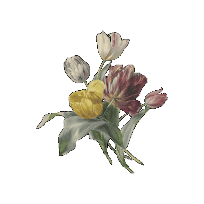 Flowers for you GIFs on GIPHY - Be Animated