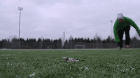 Sliding Head First GIF by theFC - Find & Share on GIPHY