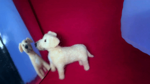 Like Looking In A Mirror GIFs - Get the best GIF on GIPHY