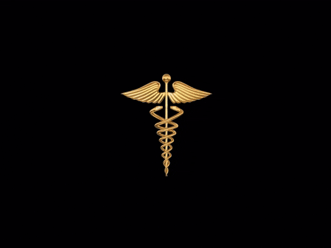 MEDICEO GIFs on GIPHY - Be Animated