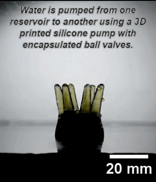 Encapsulate GIFs - Get the best GIF on GIPHY