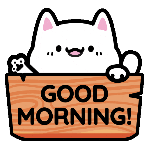Good Morning Cat Gif