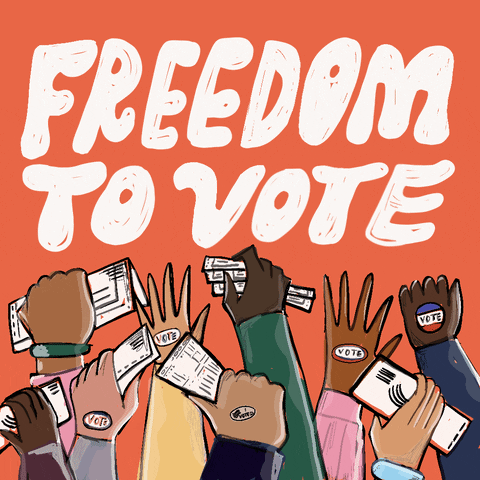 Stop Voter Suppression GIFs - Get the best GIF on GIPHY