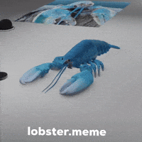 Blue Lobster Meme GIFs - Find & Share on GIPHY