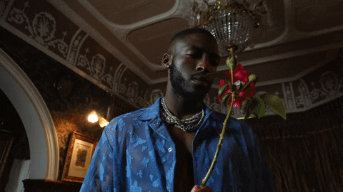 Mas-musiq GIFs - Get the best GIF on GIPHY