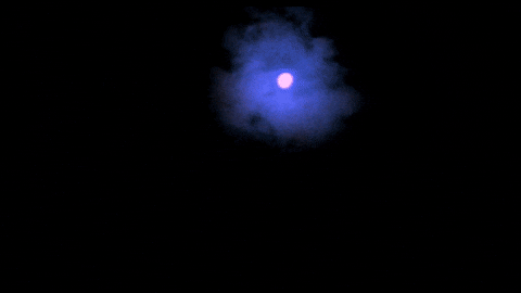 Howling-ii GIFs - Get the best GIF on GIPHY