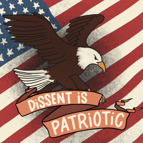 8 GIFs for Independence Day 2024 by INTO ACTION | GIPHY