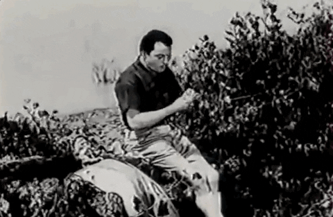 Movie Eating GIF - Find & Share on GIPHY