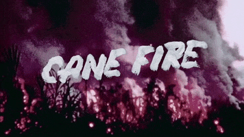 Can Fire GIFs on GIPHY - Be Animated