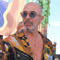 DAVID CICCHELLA GIFs on GIPHY - Be Animated