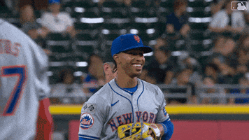 New York Mets GIFs on GIPHY - Be Animated