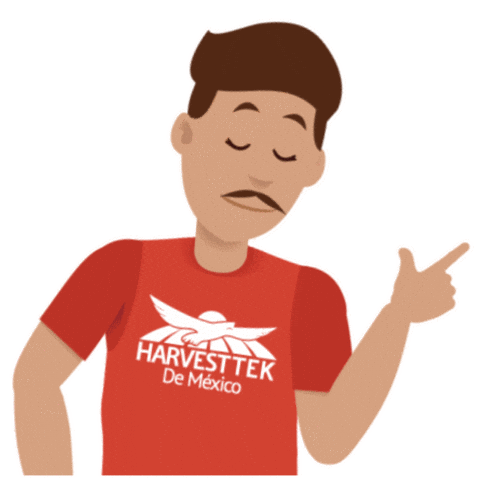 Pedro GIFs on GIPHY - Be Animated