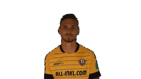 SG Dynamo Dresden GIFs on GIPHY - Be Animated