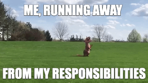 Responsibilities Running GIFs - Find & Share on GIPHY