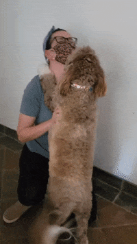 Really Excited Dog Gif