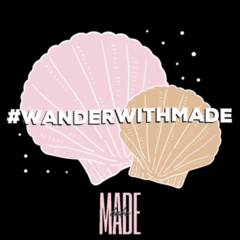 Sea Shells GIFs - Get the best GIF on GIPHY