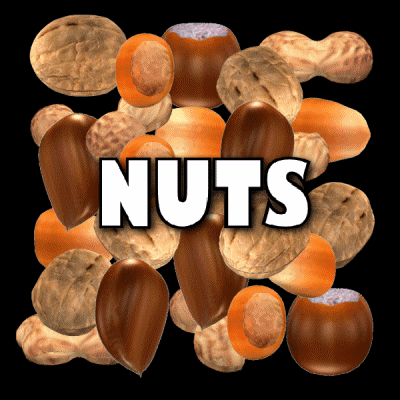 Walnuts GIFs - Get the best GIF on GIPHY