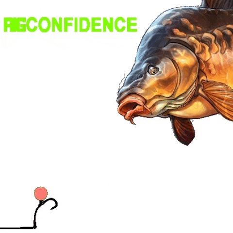 Carp GIFs - Get the best GIF on GIPHY