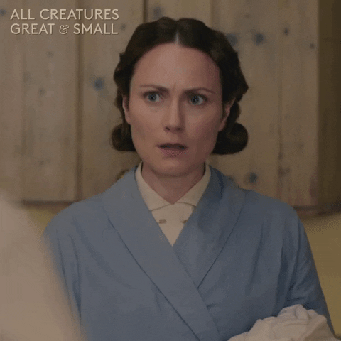 Im Indignant GIFs - Get the best GIF on GIPHY