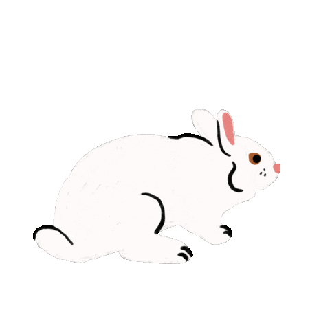 Rabbit Jumping Gif