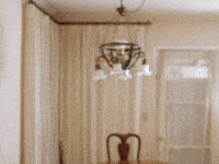 Indian Head Shake Gif