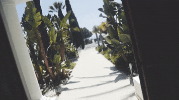 Outings GIFs on GIPHY - Be Animated