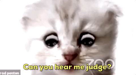 Can You Hear Me Judge GIFs - Get the best GIF on GIPHY