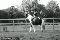 Best slo-mo GIFs - Primo GIF - Latest Animated GIFs