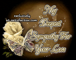 Pet-loss GIFs - Get the best GIF on GIPHY