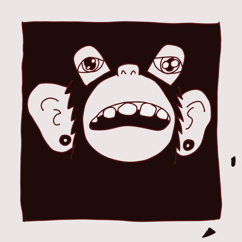 Monkey Habla Gif By Gif - Find & Share on GIPHY