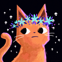 Hyper Cat Gif