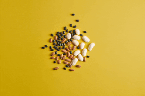 Lentils GIFs - Get the best GIF on GIPHY