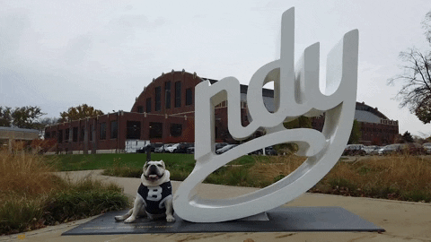 Butler University Mascot GIFs - Get the best GIF on GIPHY