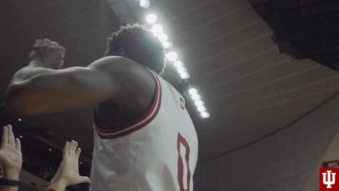 High Five Celebration GIF by Indiana Hoosiers - Find & Share on GIPHY