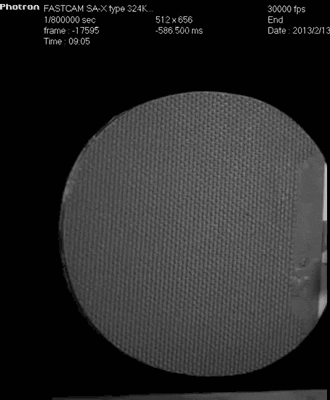 800000 GIFs - Get the best GIF on GIPHY