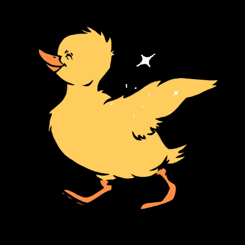 Duck Whattheduck GIF by HYAL ry - Find & Share on GIPHY