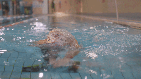 Pool Exercise GIFs - Get the best GIF on GIPHY
