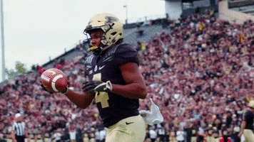 Purdue Football GIFs on GIPHY - Be Animated