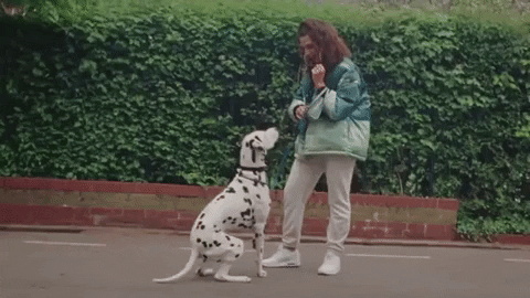 Anticlimax GIF by Mae Muller - Find & Share on GIPHY