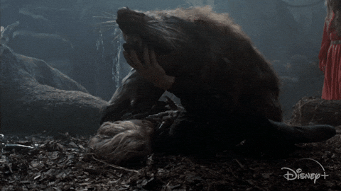 Rous GIFs - Get the best GIF on GIPHY