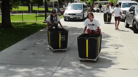 College-moving GIFs - Get the best GIF on GIPHY