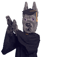 UAlbany Grad 2023 by UAlbany | GIPHY